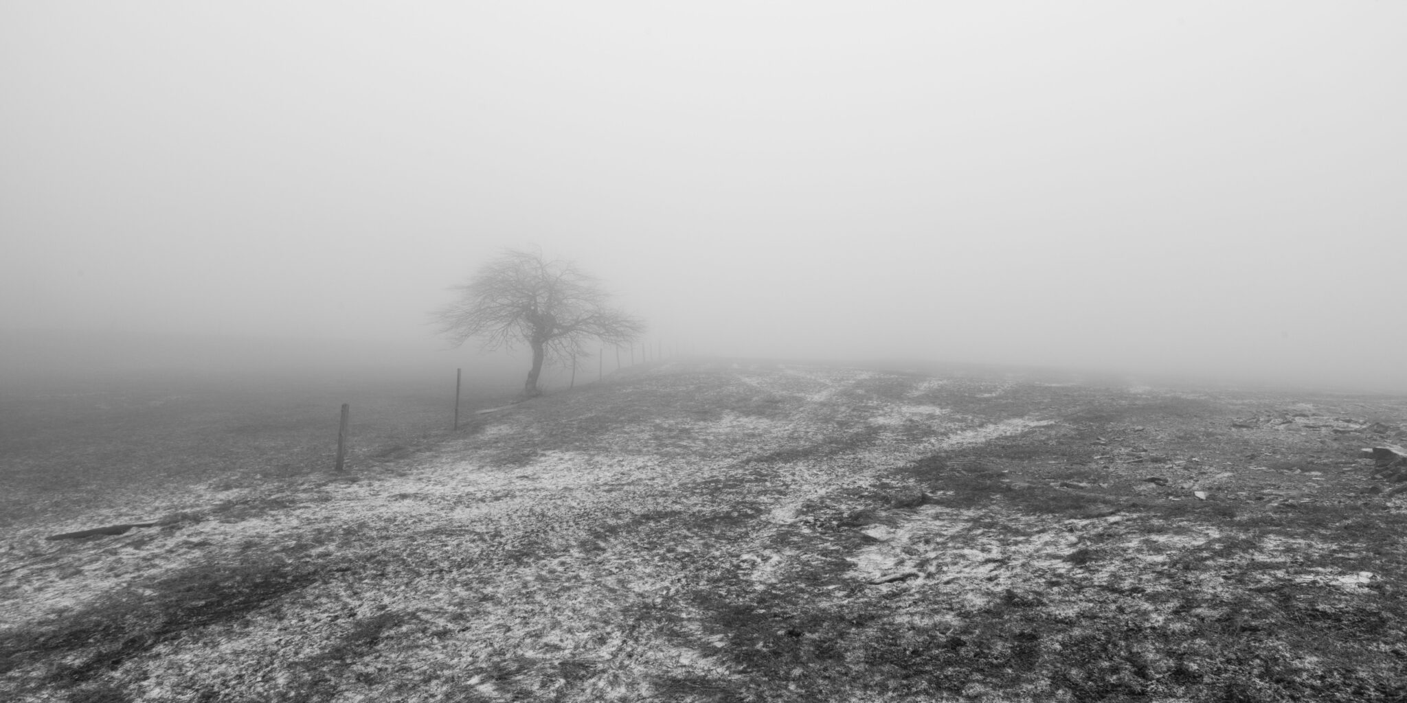 Tekst voor rouwkaart / rouwlint begrafenis - Bloemen Robberechts
