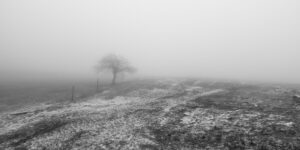 Tekst voor rouwkaart / rouwlint begrafenis - Bloemen Robberechts